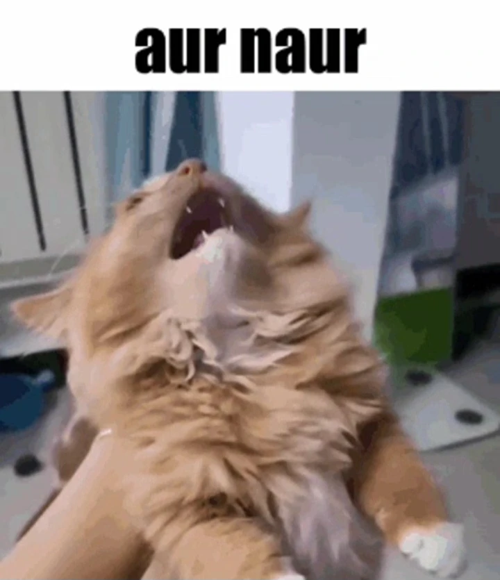 That one time | Fandom