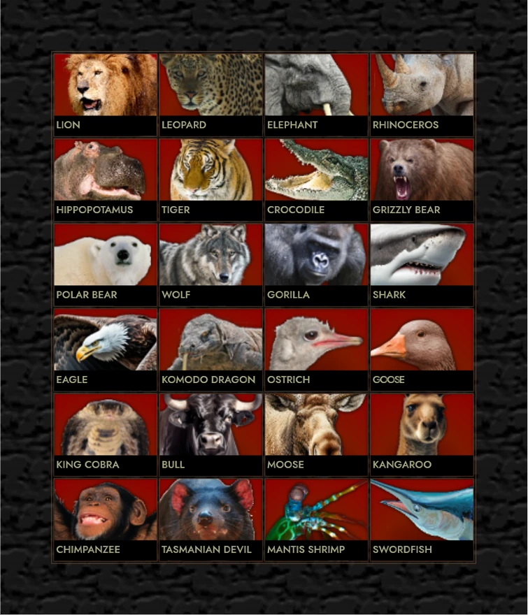 I literally made a fighting game for animals | Fandom