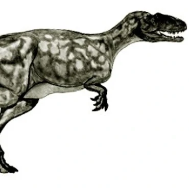 Discuss Everything About Dinopedia | Fandom