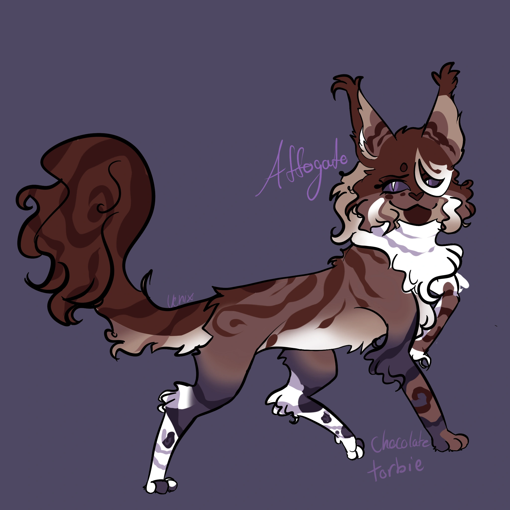 Catified part 3 | Fandom