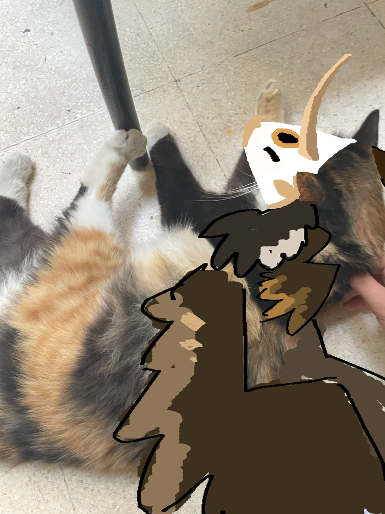making your cats into pee cats | Fandom