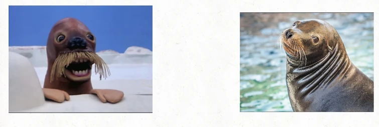 wai- the walrus Is a giant sea lion how | Fandom