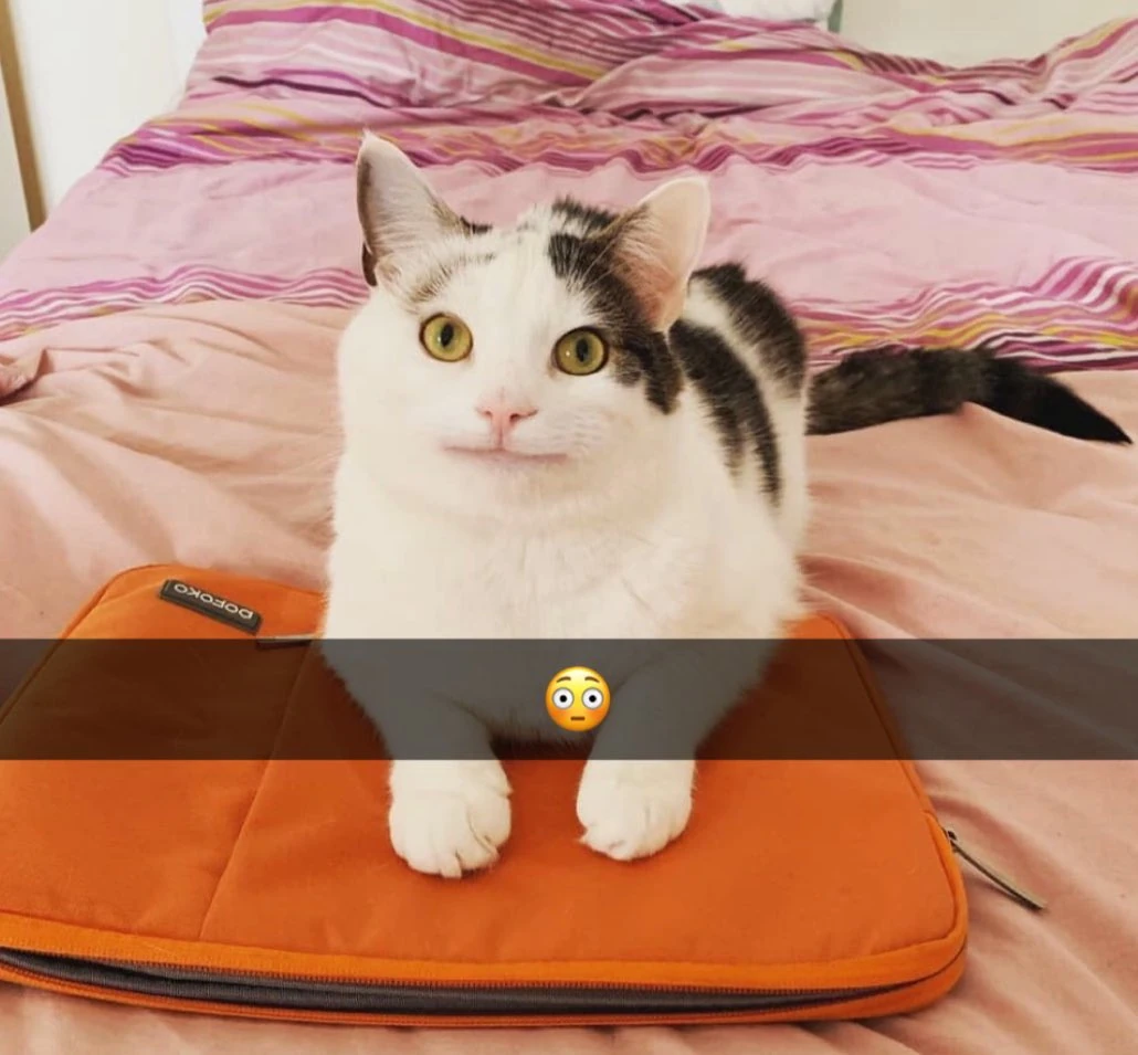 Im bored so give me random pictures in your camera roll | Fandom