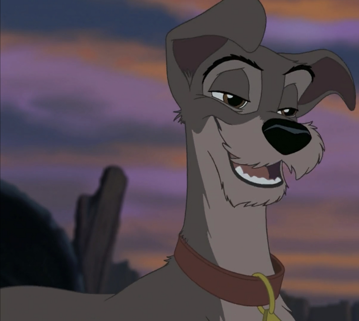 An Brownish-Gray-Mutt Tramp | The 5D-Combined-Shared Crossovers for An ... An Brownish-Gray-Mutt Tramp | The 5D-Combined-Shared Crossovers for An ...