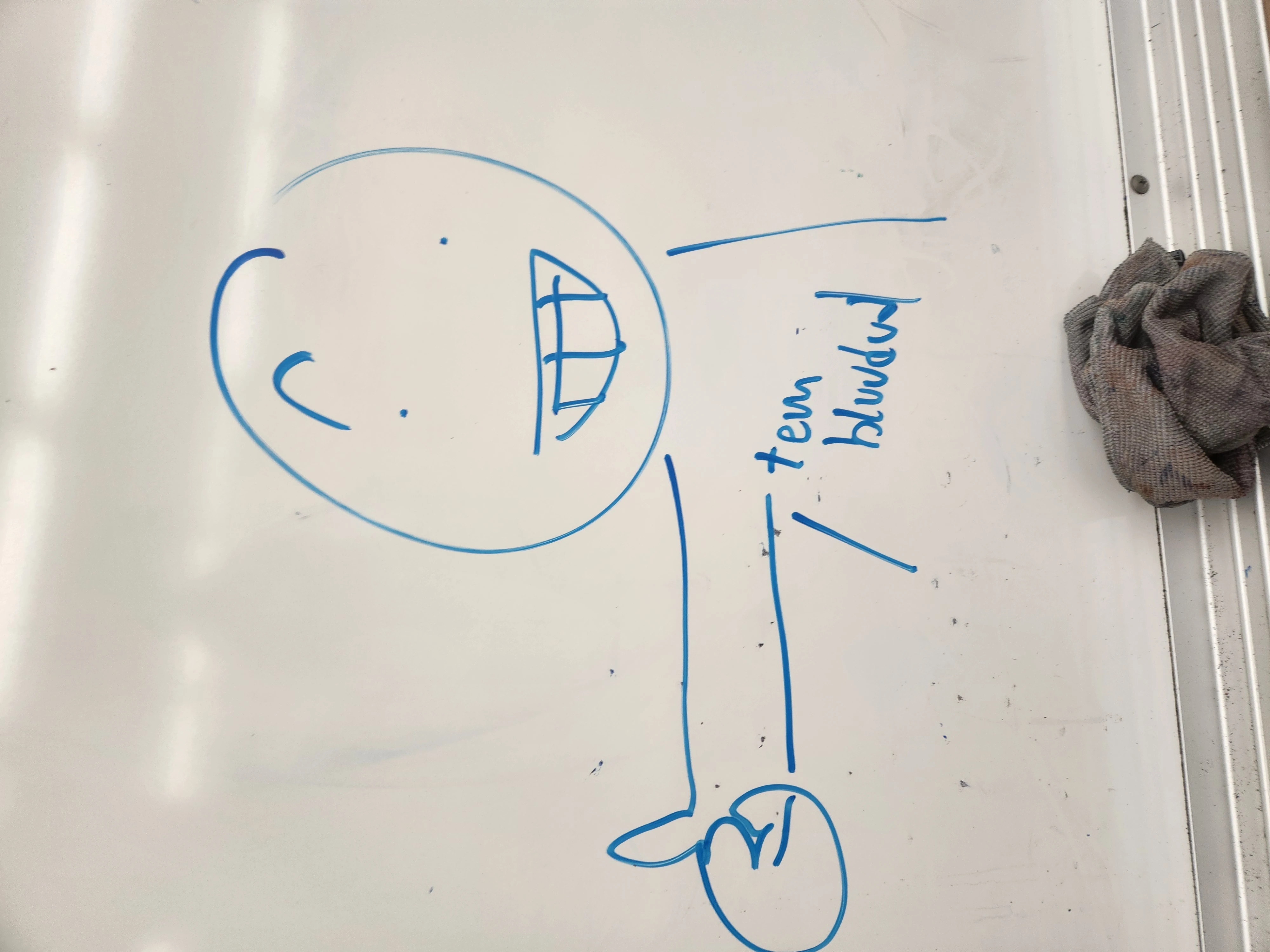 wsg gang I'm back | Fandom