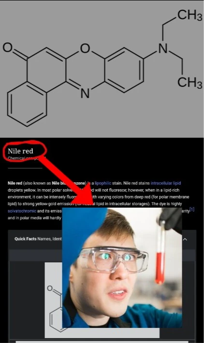 Nile red ‼️ | Fandom