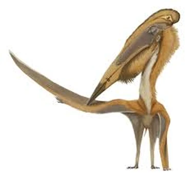 Discuss Everything About Prehistoria Fandom | Fandom