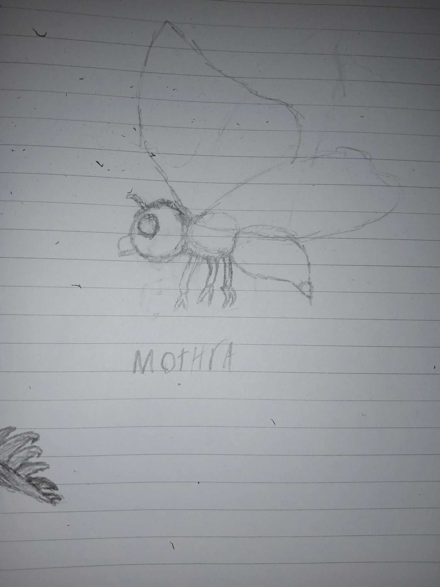 MOTHRA | Fandom
