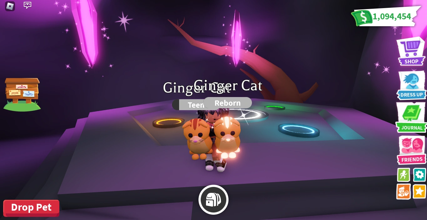 neon ginger cat (3) | Fandom