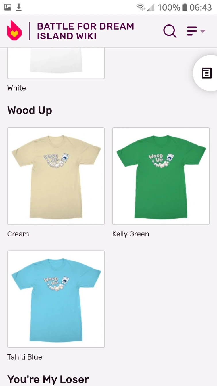 Ranking BfDI merch because I can't get any myself part 2: Premium merch ...