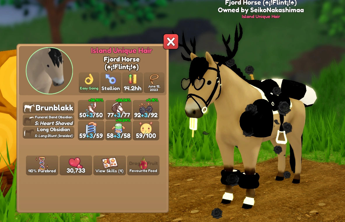 My Main Horses | Fandom