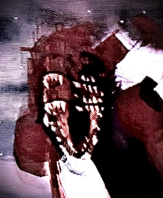 Y O U ️ ️ ️ ️ ️ | Fandom