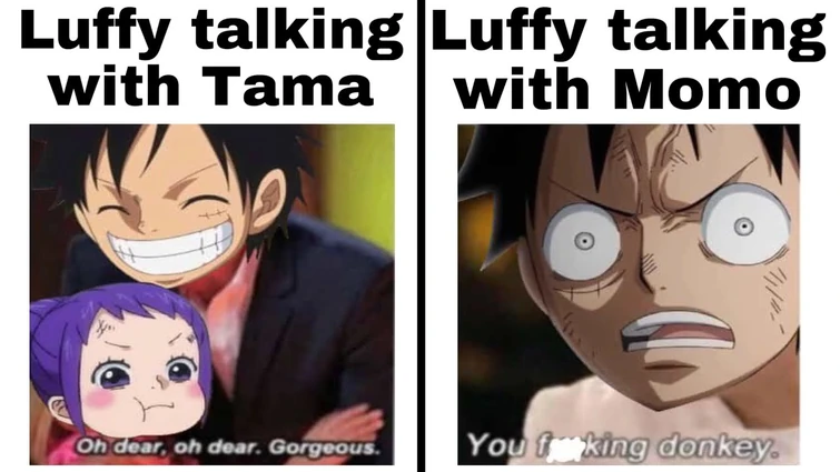 One piece memes pt 1 | Fandom