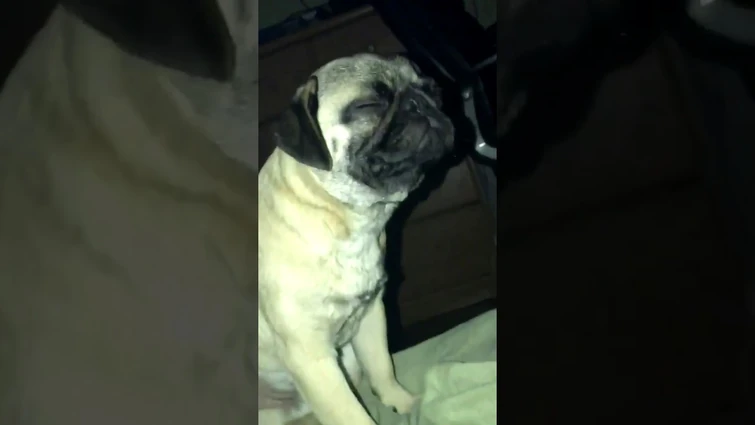 CURSED VIDEOS AND IMAGES! | Fandom