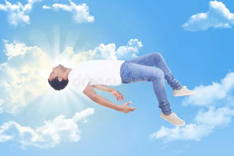 finally got tranquil bloom | Fandom