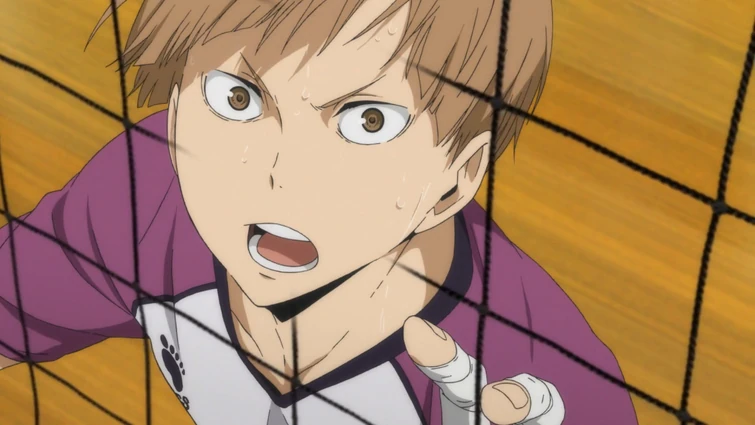 SHIRABU LOVE | Fandom