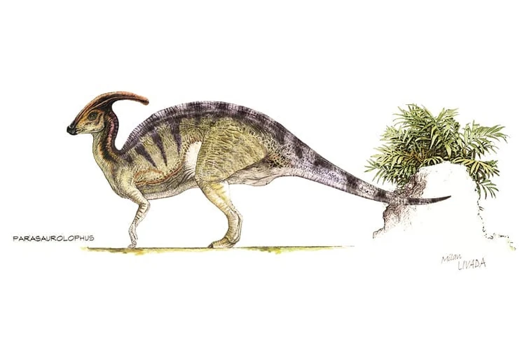 Possible original Parasaurolophus concept art? | Fandom