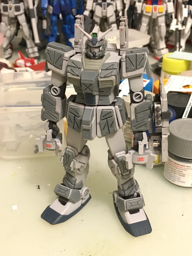 HGUC RGM-79FC striker custom | Fandom