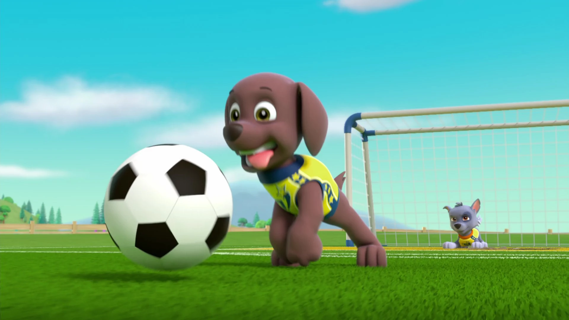 Rocky and Zuma are so determined and so cute in sports. | Fandom