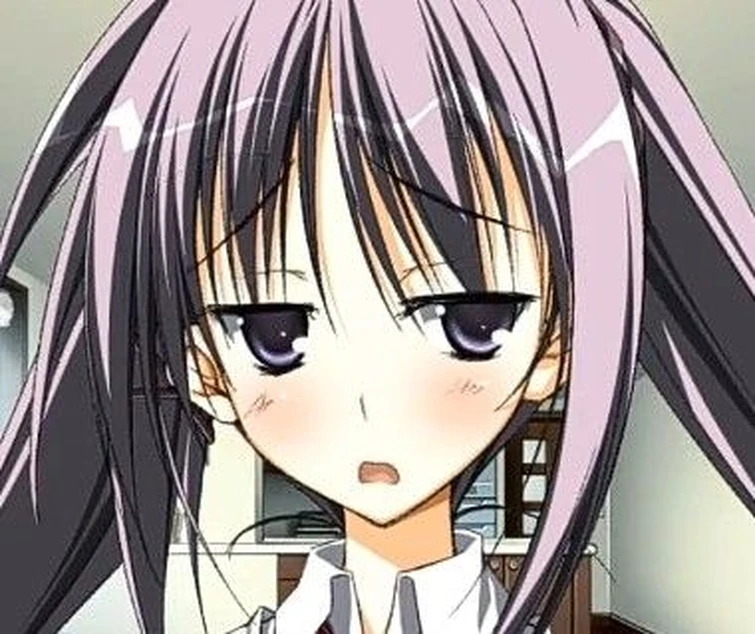 Discuss Everything About Subarashiki Hibi Wiki | Fandom