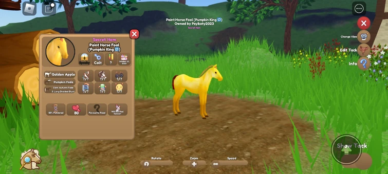 Discuss Everything About Wild Horse Islands Wiki | Fandom
