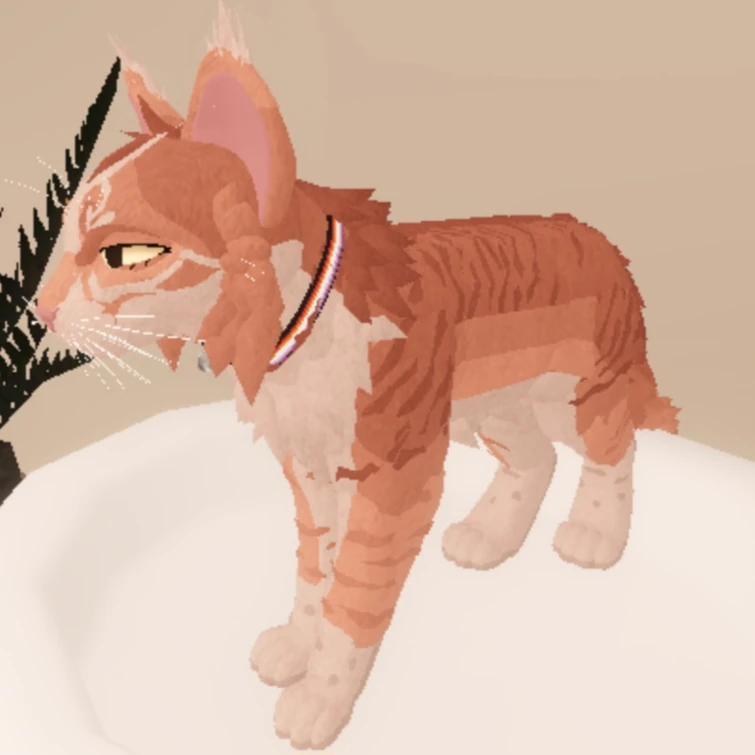 new morphs!! | Fandom