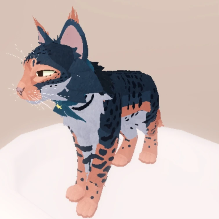 new morphs!! | Fandom