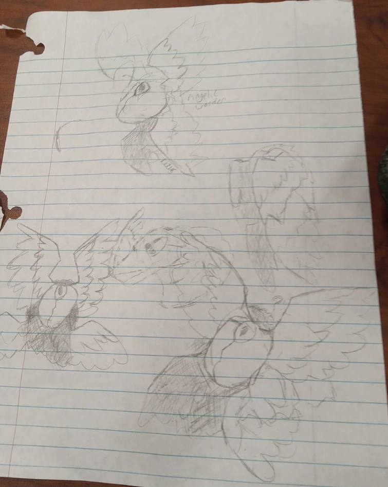 Some angelic doodles | Fandom