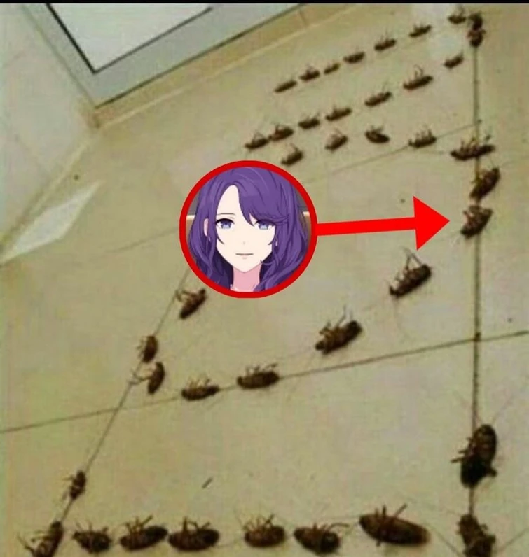 mafumom fan club!! | Fandom