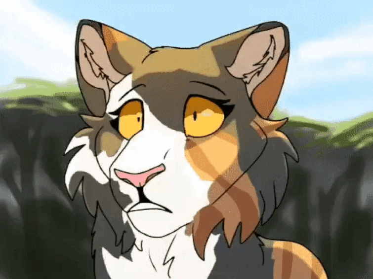 Here you can see the full better animation I made of Mapleshade where ...