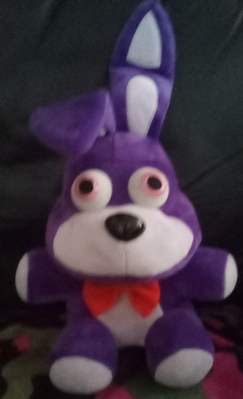 Look at my new bonnie plushie :D | Fandom