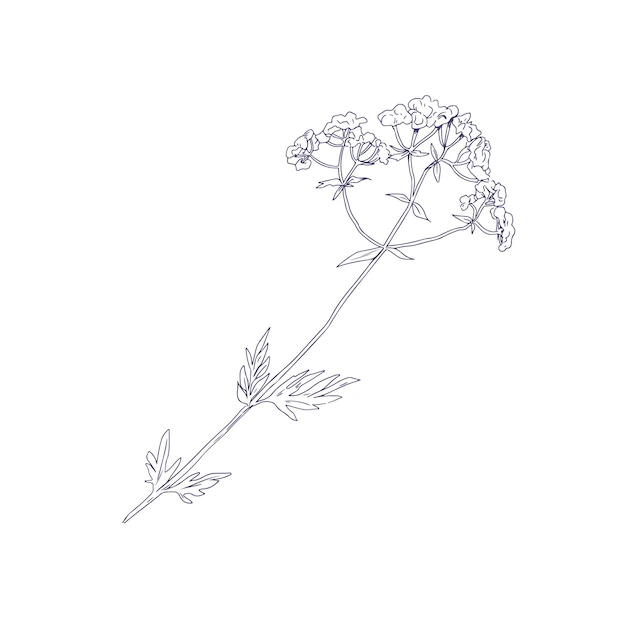 The Valerian Prince - Chapter 21: Swan Song | Fandom