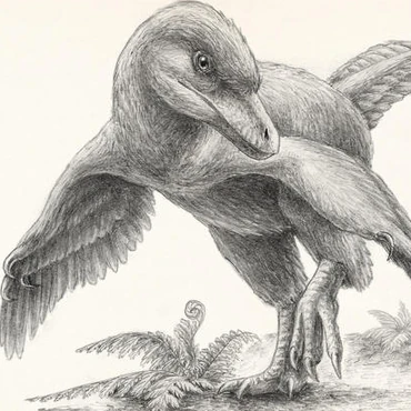 Discuss Everything About Dinopedia | Fandom