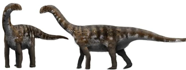 Discuss Everything About Dinopedia | Fandom