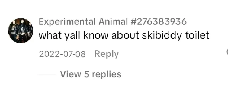 what yall know about skibiddy toilet | Fandom