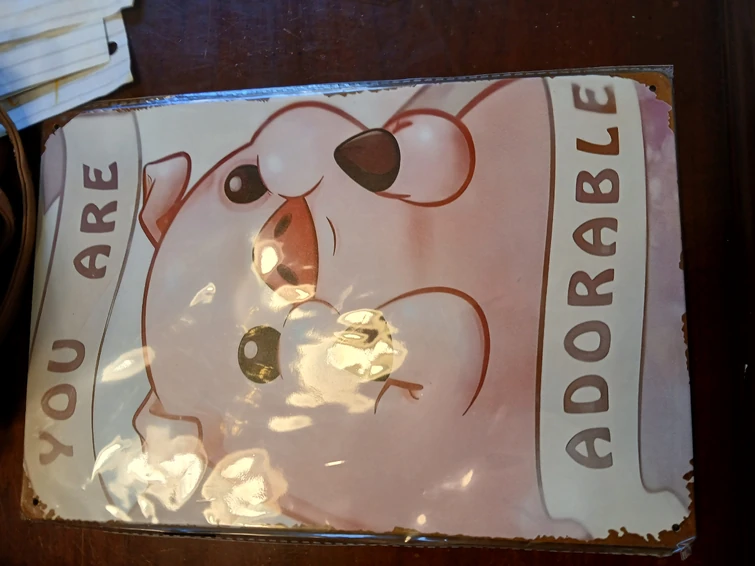 STUFF I GOT From TEMU | Fandom