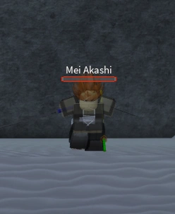 why is this soul reaper npc transparant?????? | Fandom