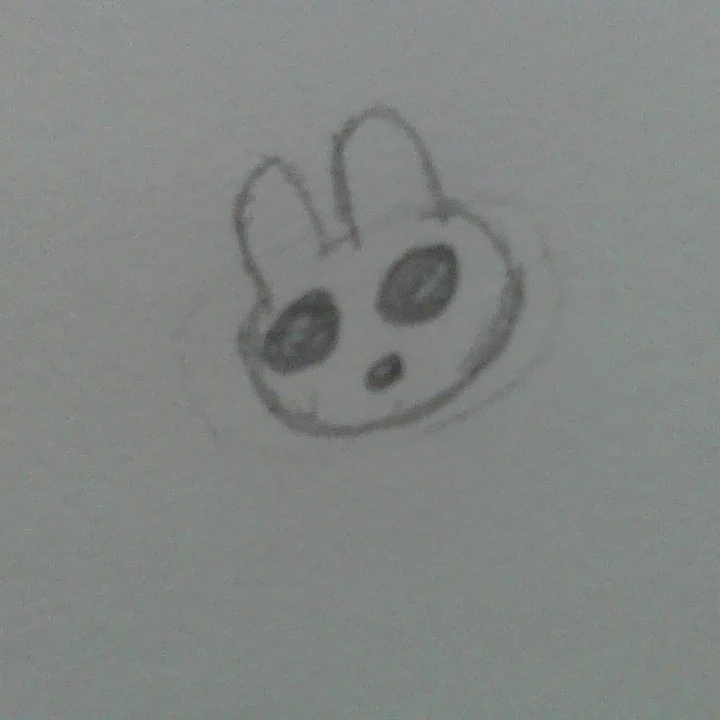 Coco doodle | Fandom