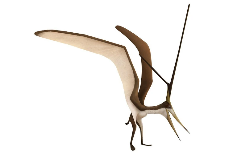 Top 5 Flying Reptiles for Jurassic World Evolution 2 Part 2/4 | Fandom