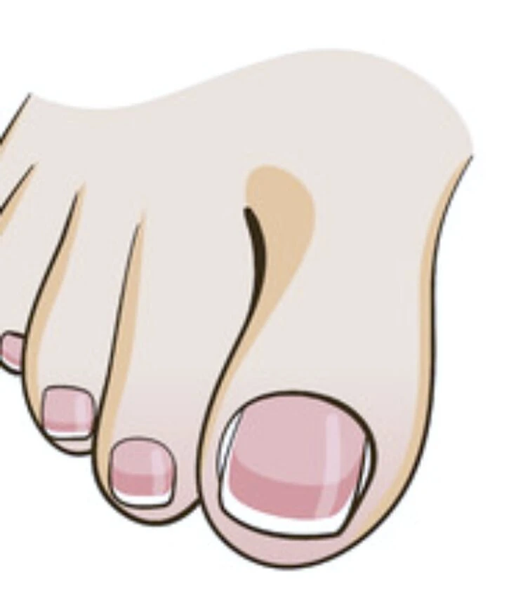 Guys toe base is out | Fandom