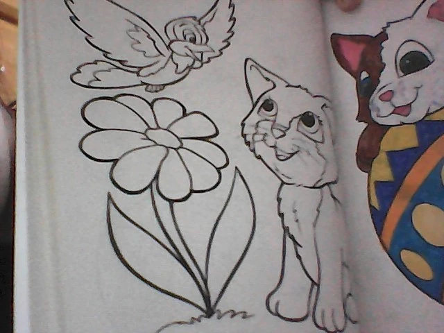 Cat requests | Fandom