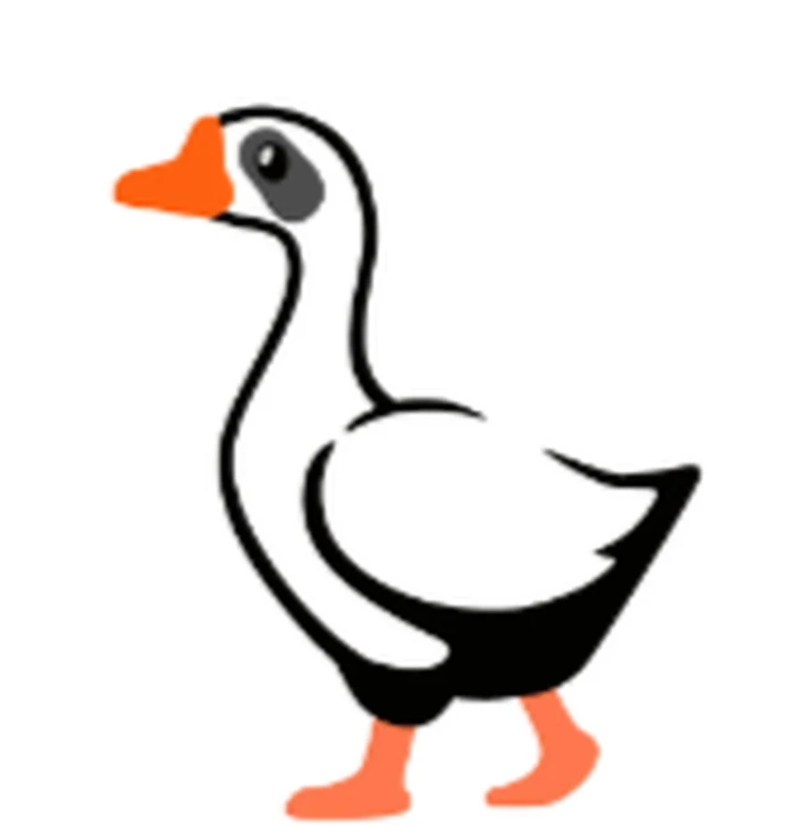 Panda goose. | Fandom