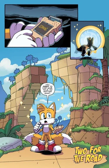 Which of these stories in the Sonic 2 Movie Prequel comic is your ...
