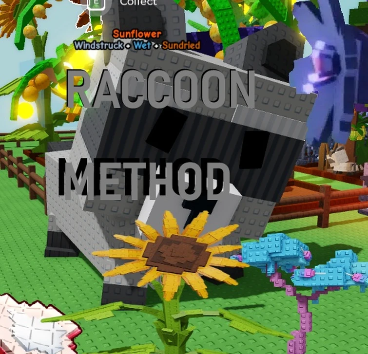 raccoon method | Fandom
