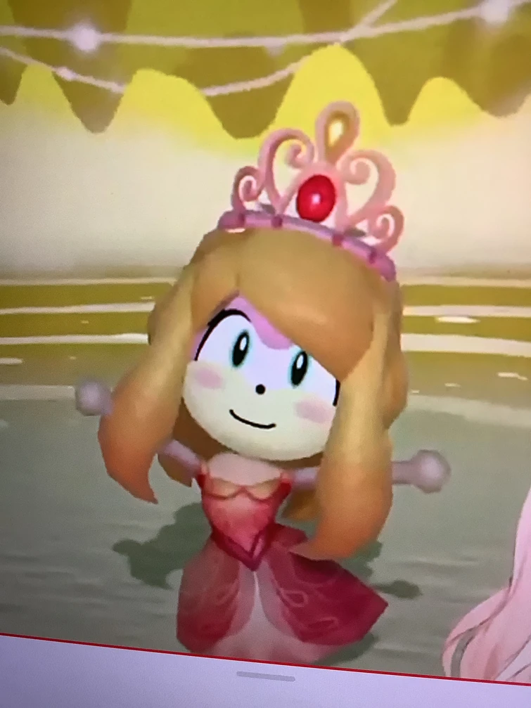 Princess Amy rose | Fandom