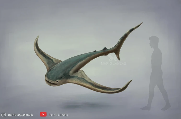 Top 10 underrated prehistoric animals | Fandom