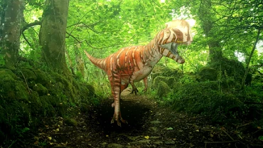 Discuss Everything About DINOSAUR BATTLE WORLD CHAMPIONSHIP(VERSION 2 ...