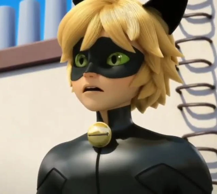 Who do you simp for in miraculous ladybug | Fandom