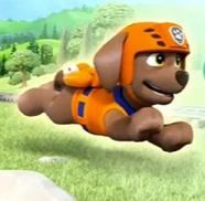 Zuma runs in a new animation (sorry for the quality) | Fandom