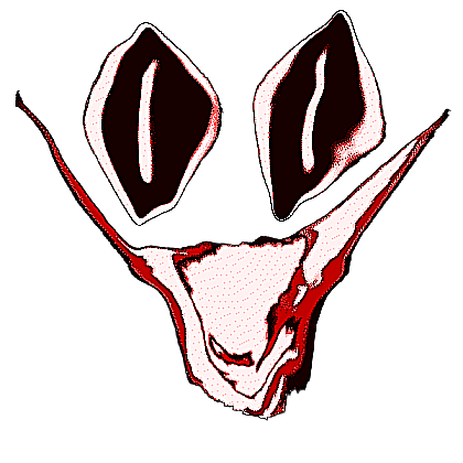 X-332 Real face | Fandom